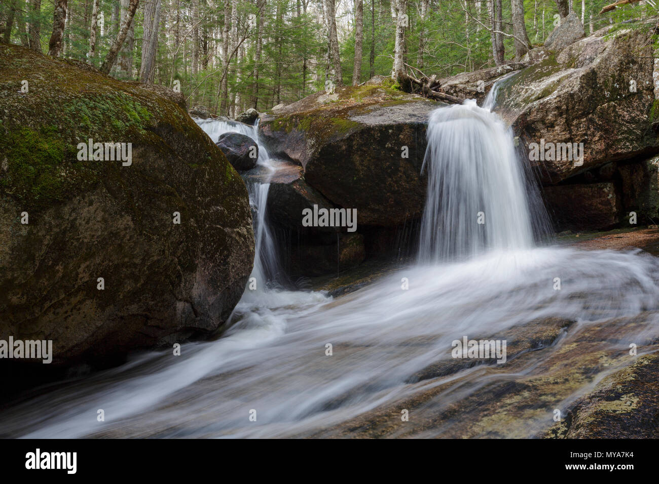 Cascade on Whitehouse Brook in Franconia Notch of Lincoln, New ...