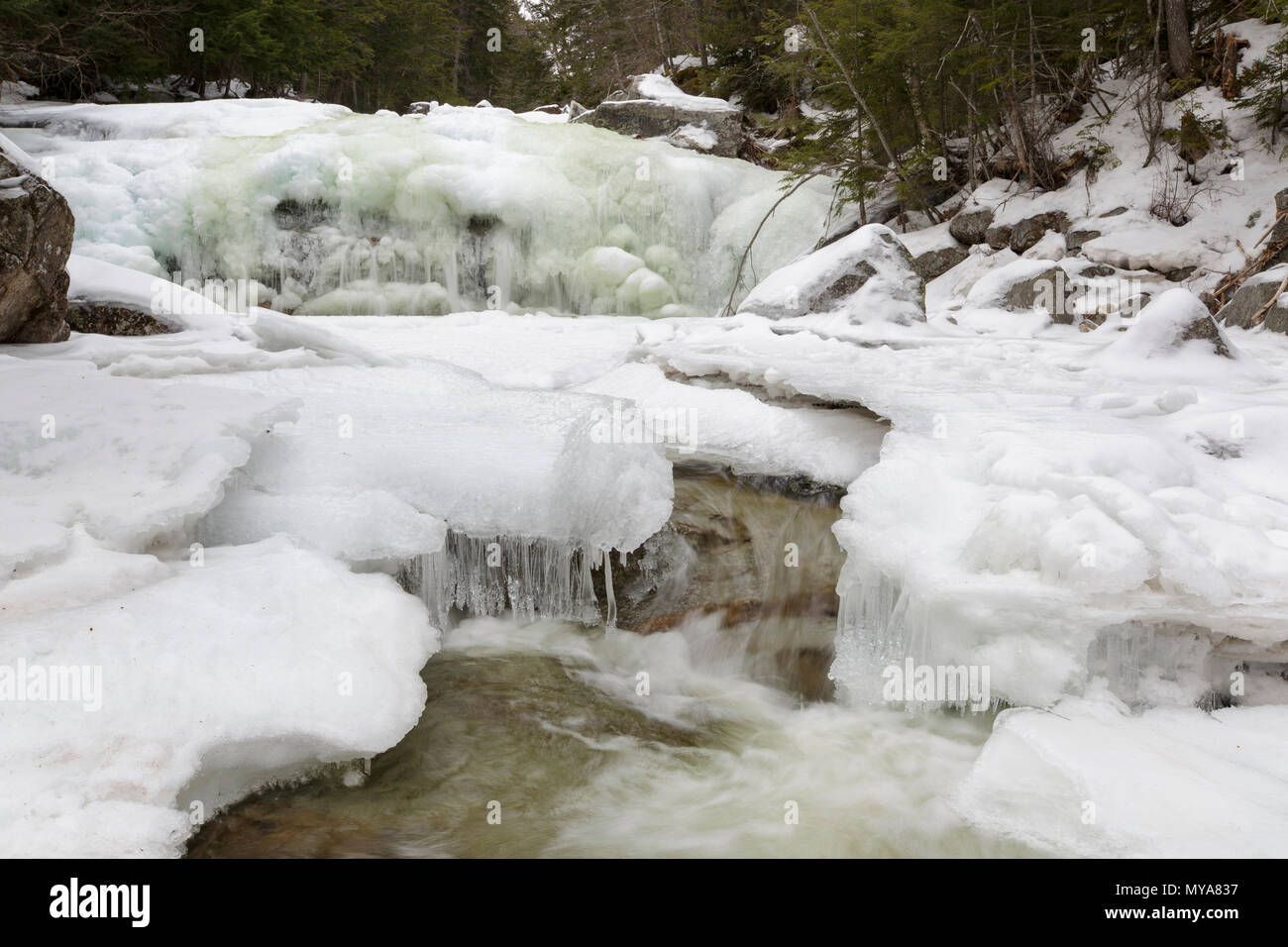 Iced over cascades on the Swift River in Livermore, New Hampshire ...