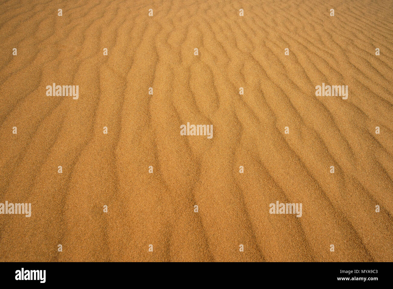 beautiful surface of sand dunes at sunset. Spring season Stock Photo ...