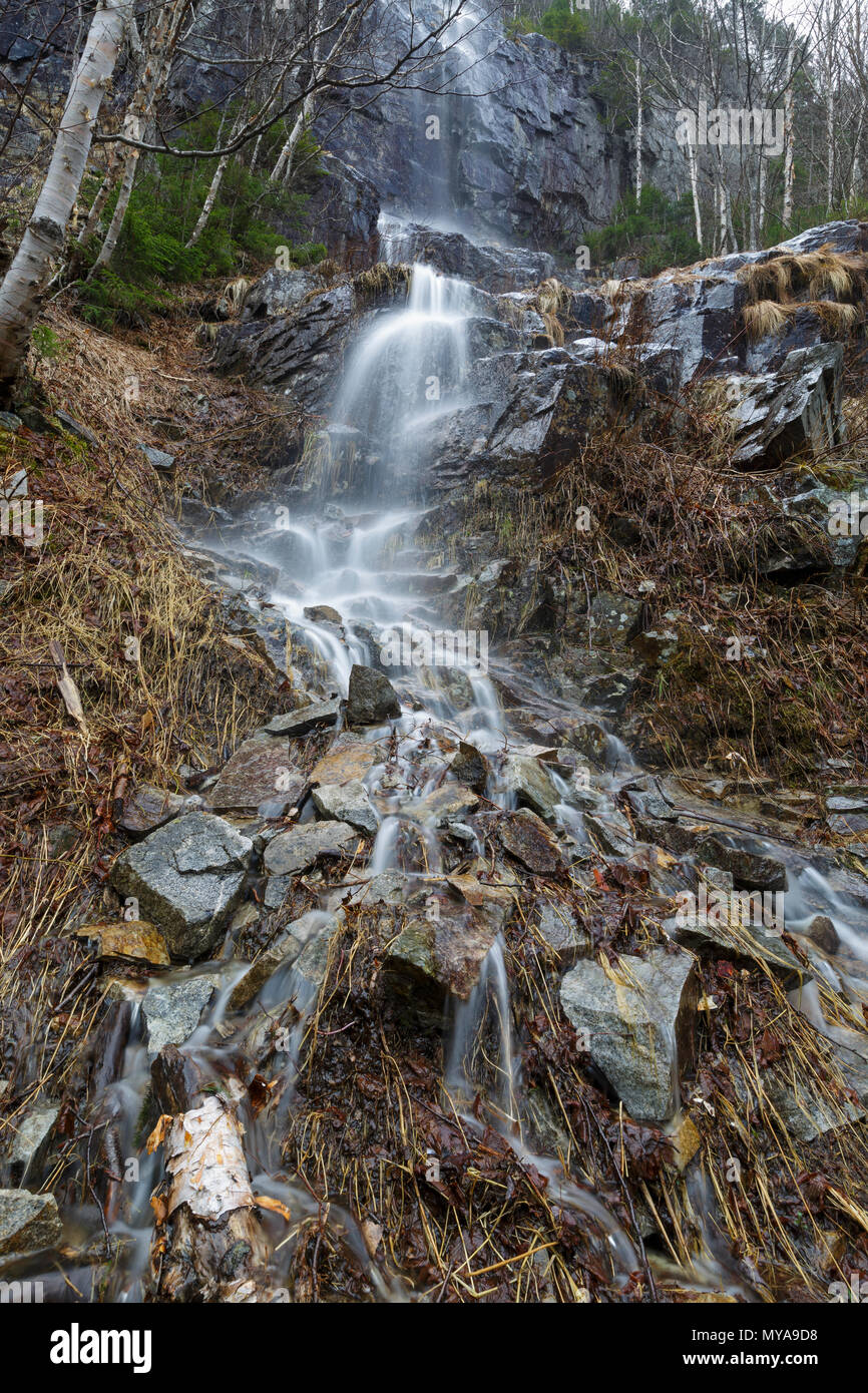 A seasonal waterfall in an old landslide path on the western flank of ...