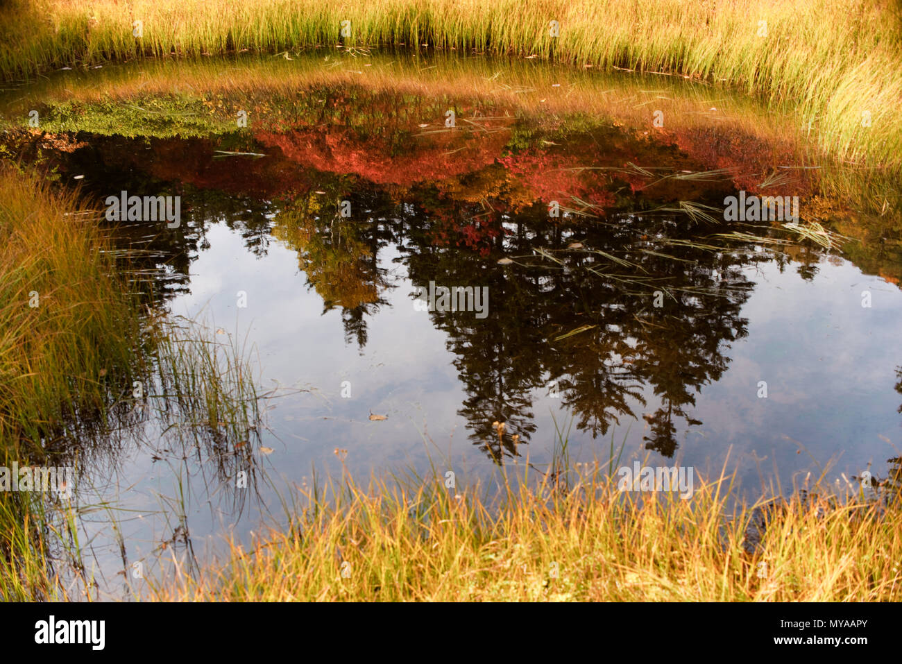 small pond with sky reflection in mountain Stock Photo - Alamy