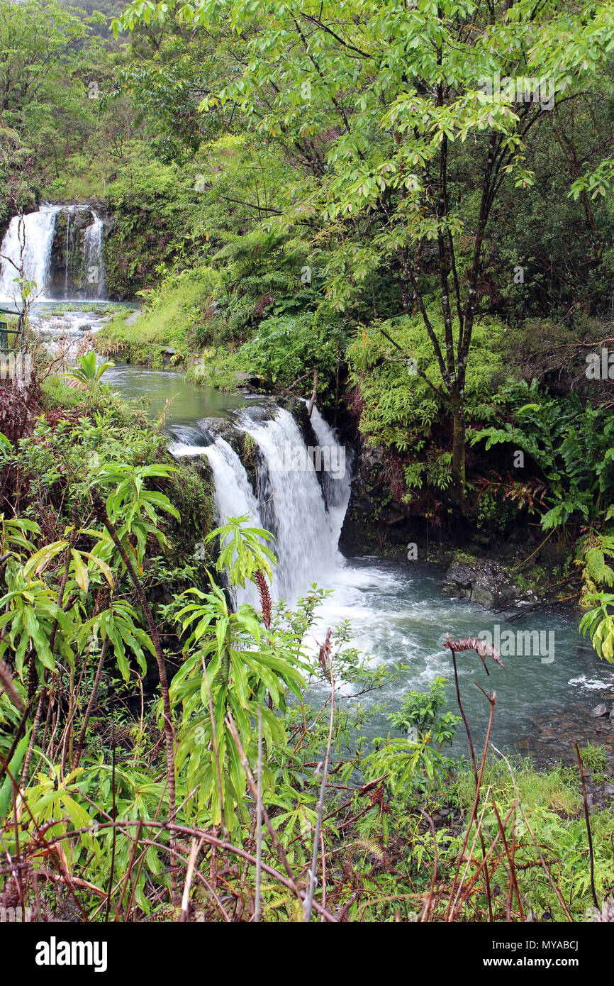 A series of waterfalls flowing through a rain forest at Pua'a Ka'a ...