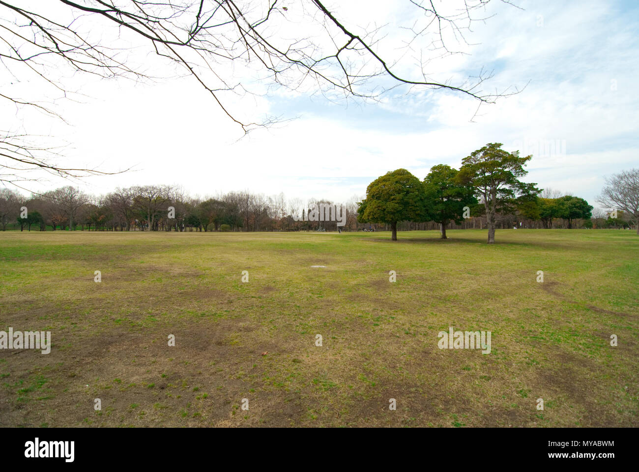 Large lawn areas hi-res stock photography and images - Alamy