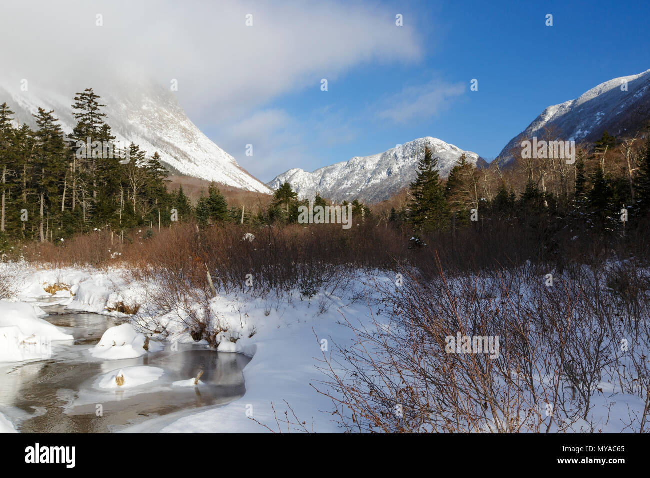 Eagle Cliff from along the Pemi Trail in Franconia Notch State Park of ...