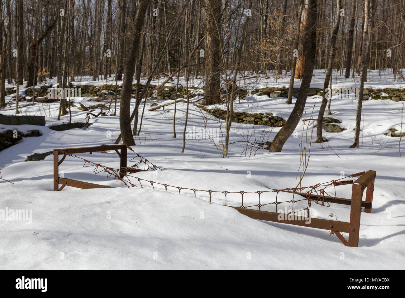 Site of the Gideon Ricker Farm at the abandoned Ricker Basin farming ...