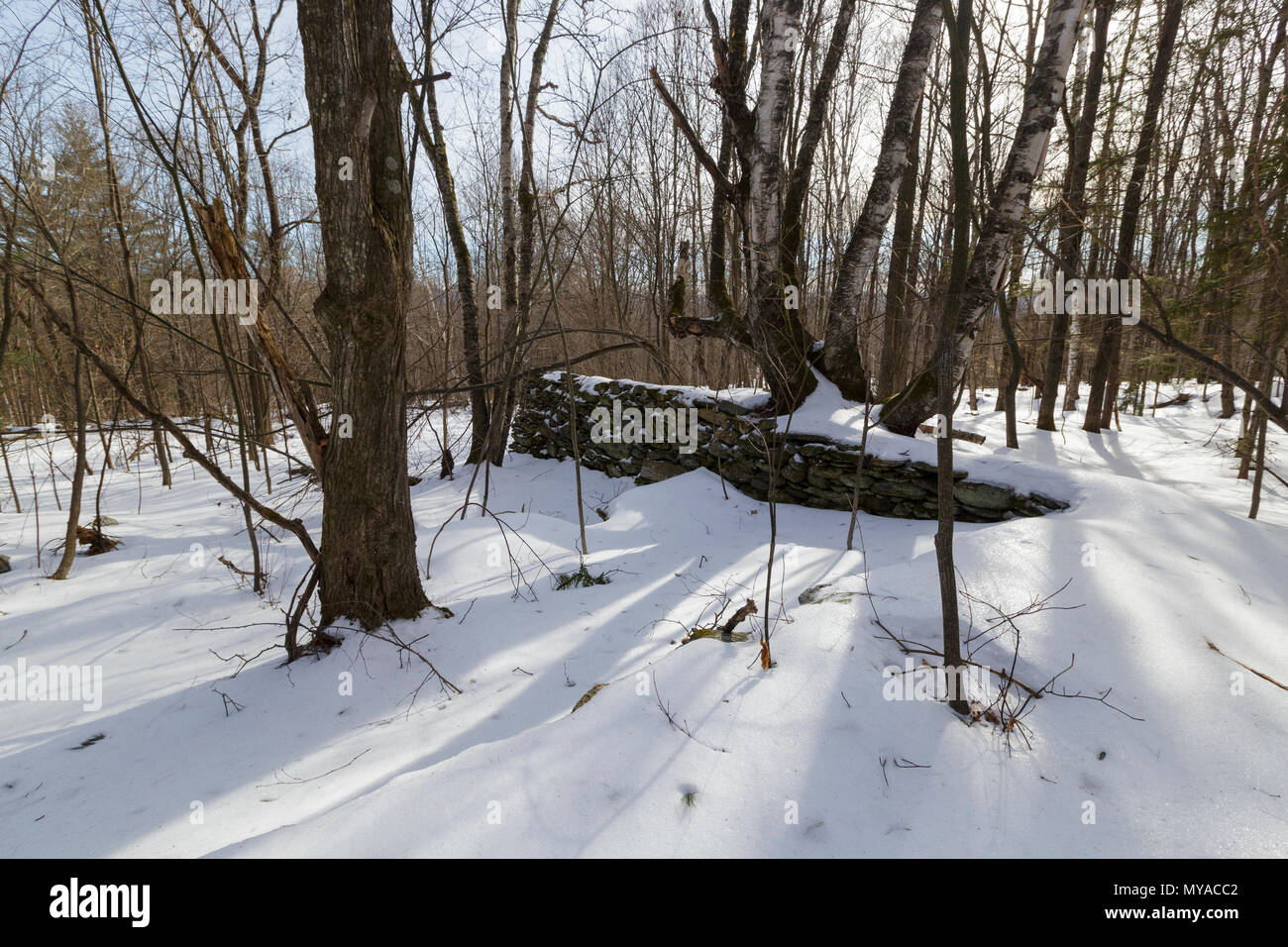 Site of the barn at the Gideon Ricker Farm at the abandoned Ricker ...