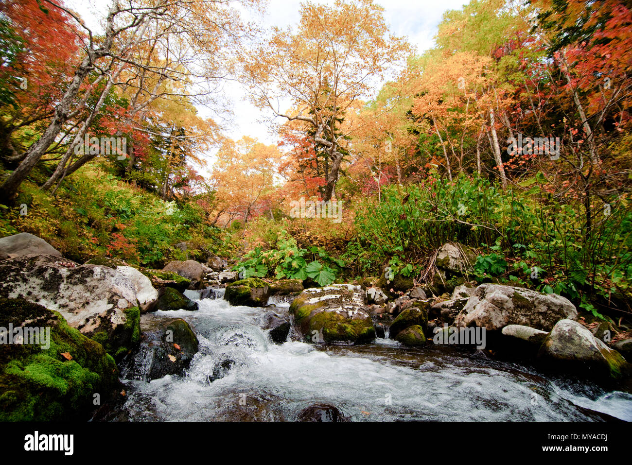 Hike river hi-res stock photography and images - Alamy