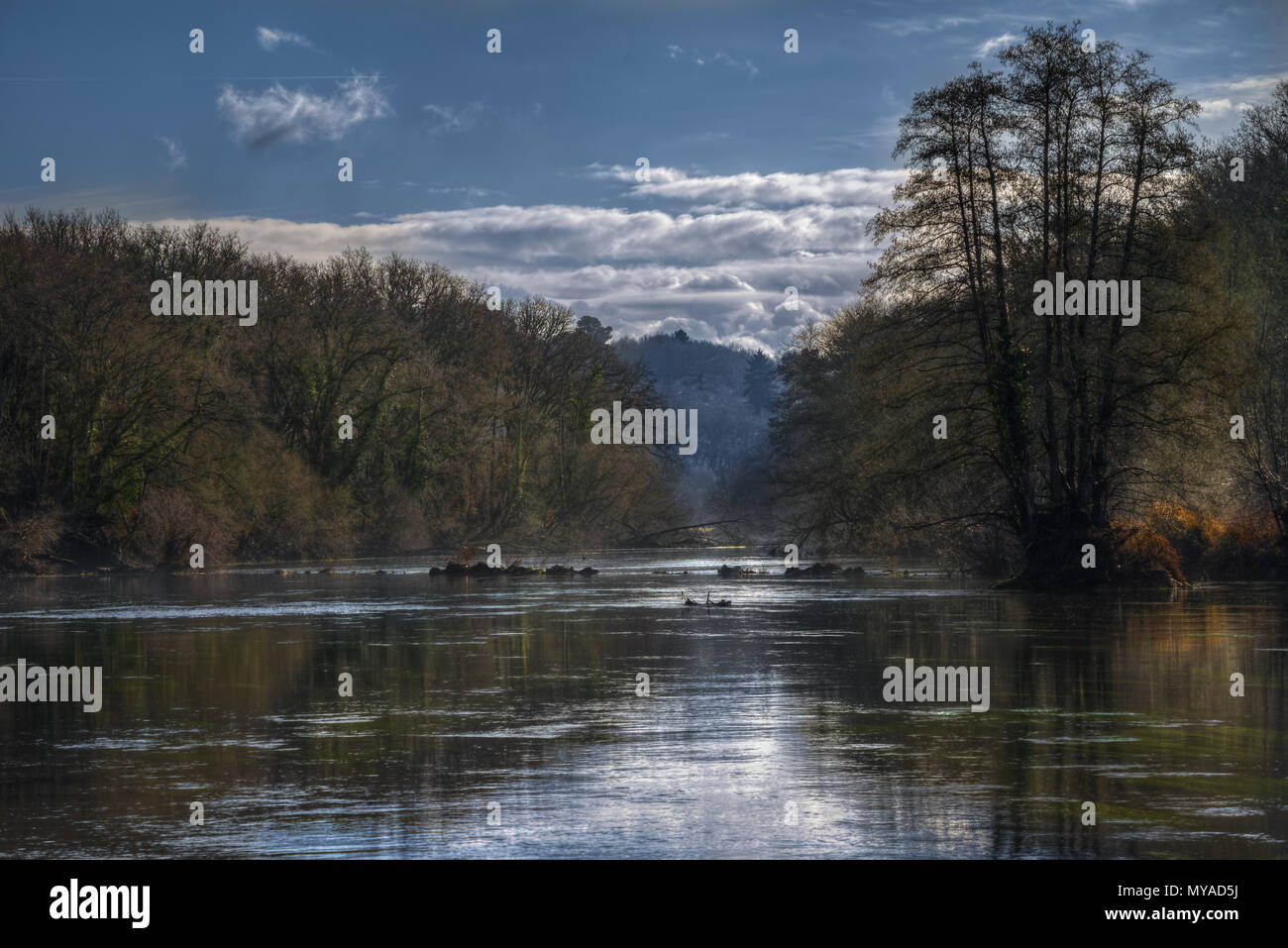 Mino forest hi-res stock photography and images - Alamy