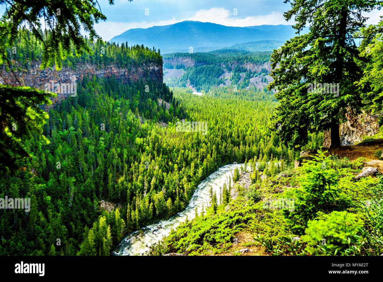 A scenic view of the powerful currents of the Murtle River in the ...