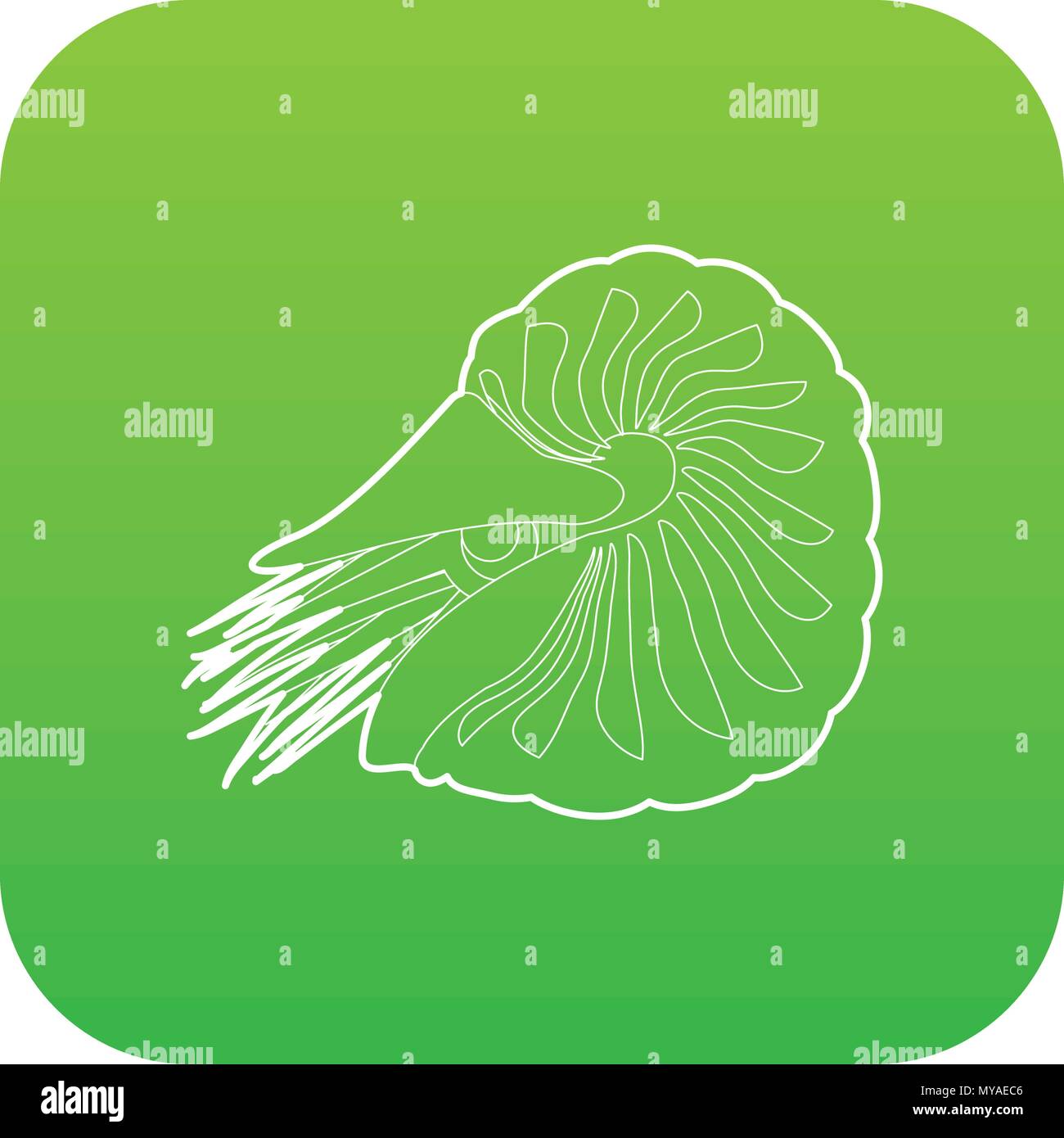 Clam icon outline Stock Vector Image & Art - Alamy