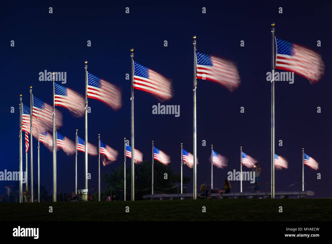 American flags at the Washington Monument at night, in Washington, DC ...