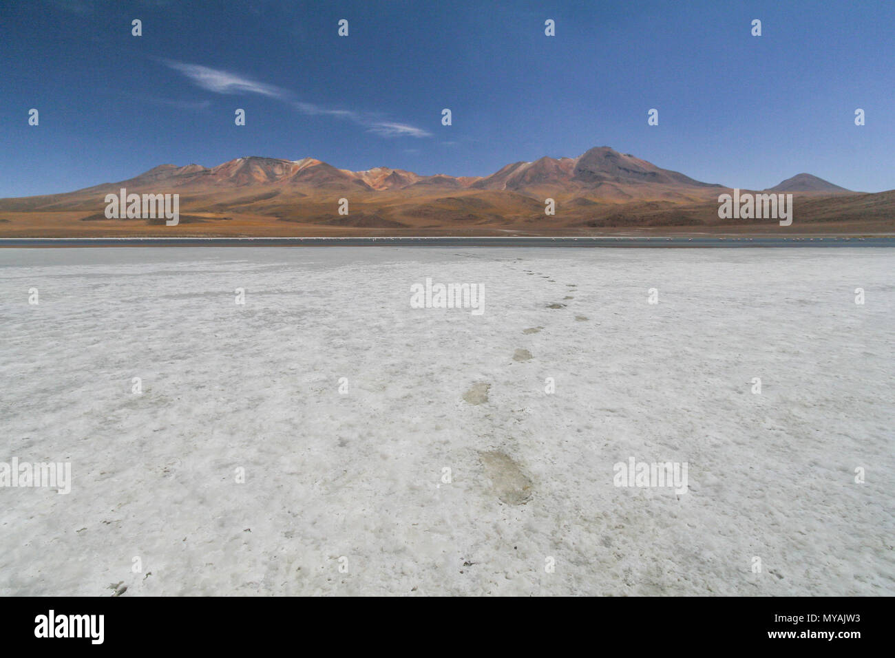 Salt lake desert scenery hi-res stock photography and images - Alamy