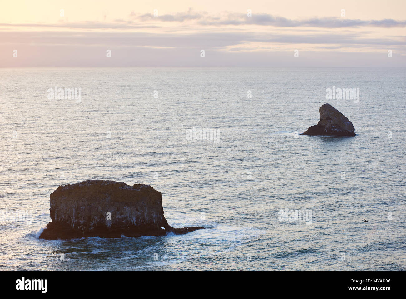Pillar Rock, a sea stack off Cape Meares, Tillamook county, Oregon ...