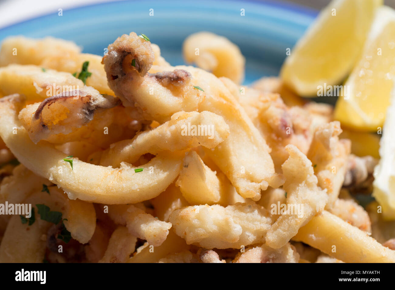 Deep fried cuttlefish made with a cuttlefish, Sepia officinalis, caught ...