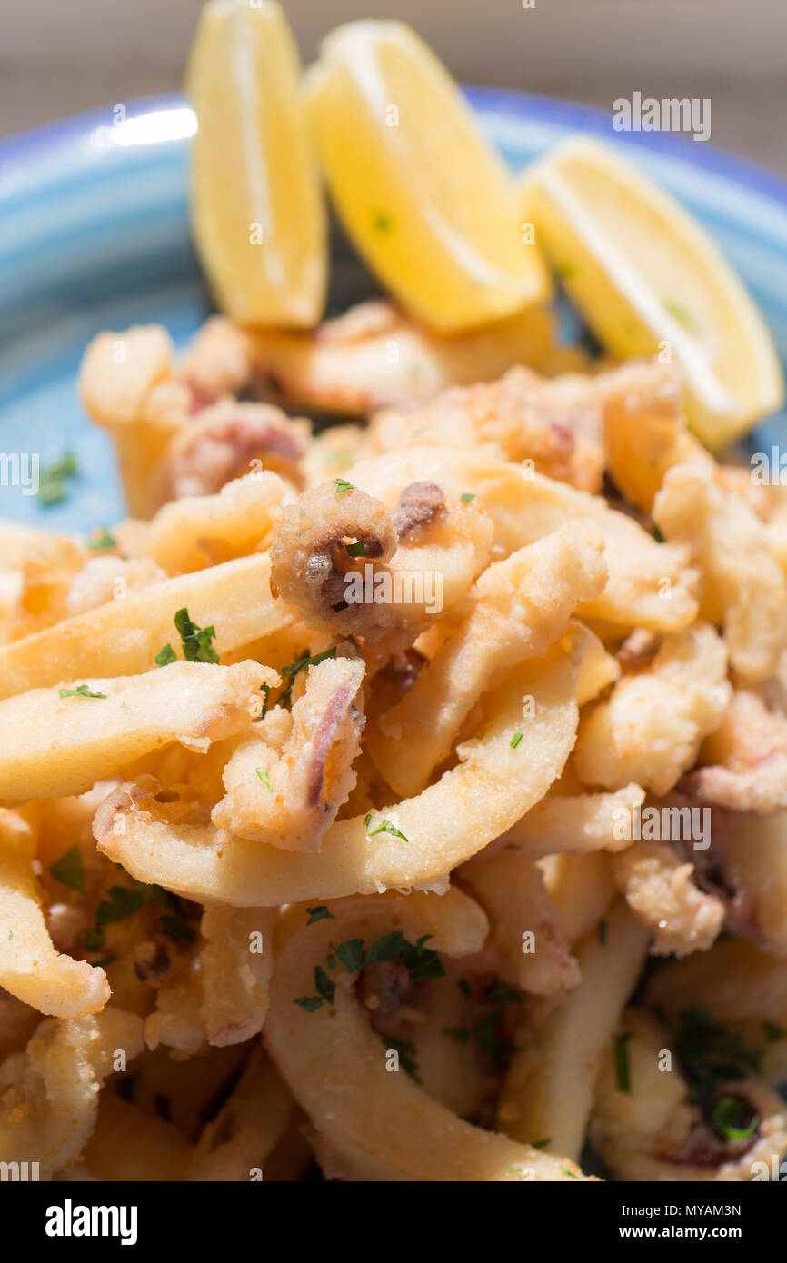 S officinalis uk hi-res stock photography and images - Alamy