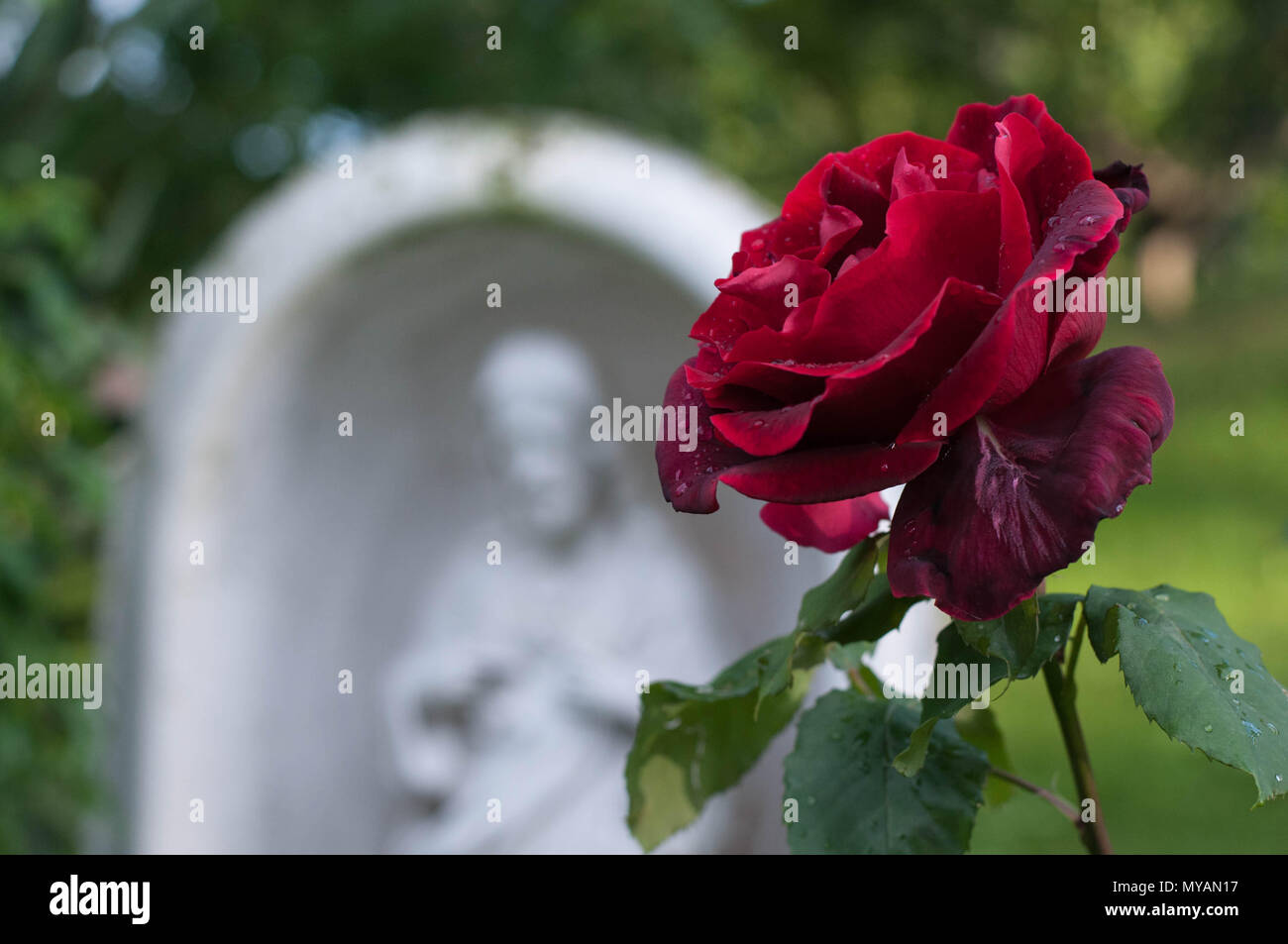 Jesus sacred heart hi-res stock photography and images - Alamy