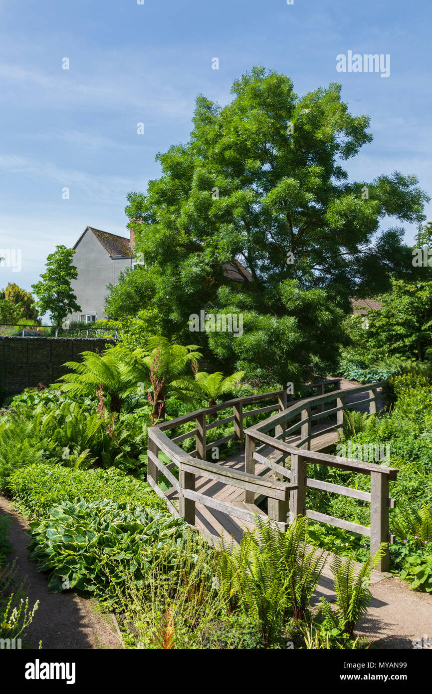The Robinson Garden at RHS Gardens Hyde Hall in Essex on a Glorious ...