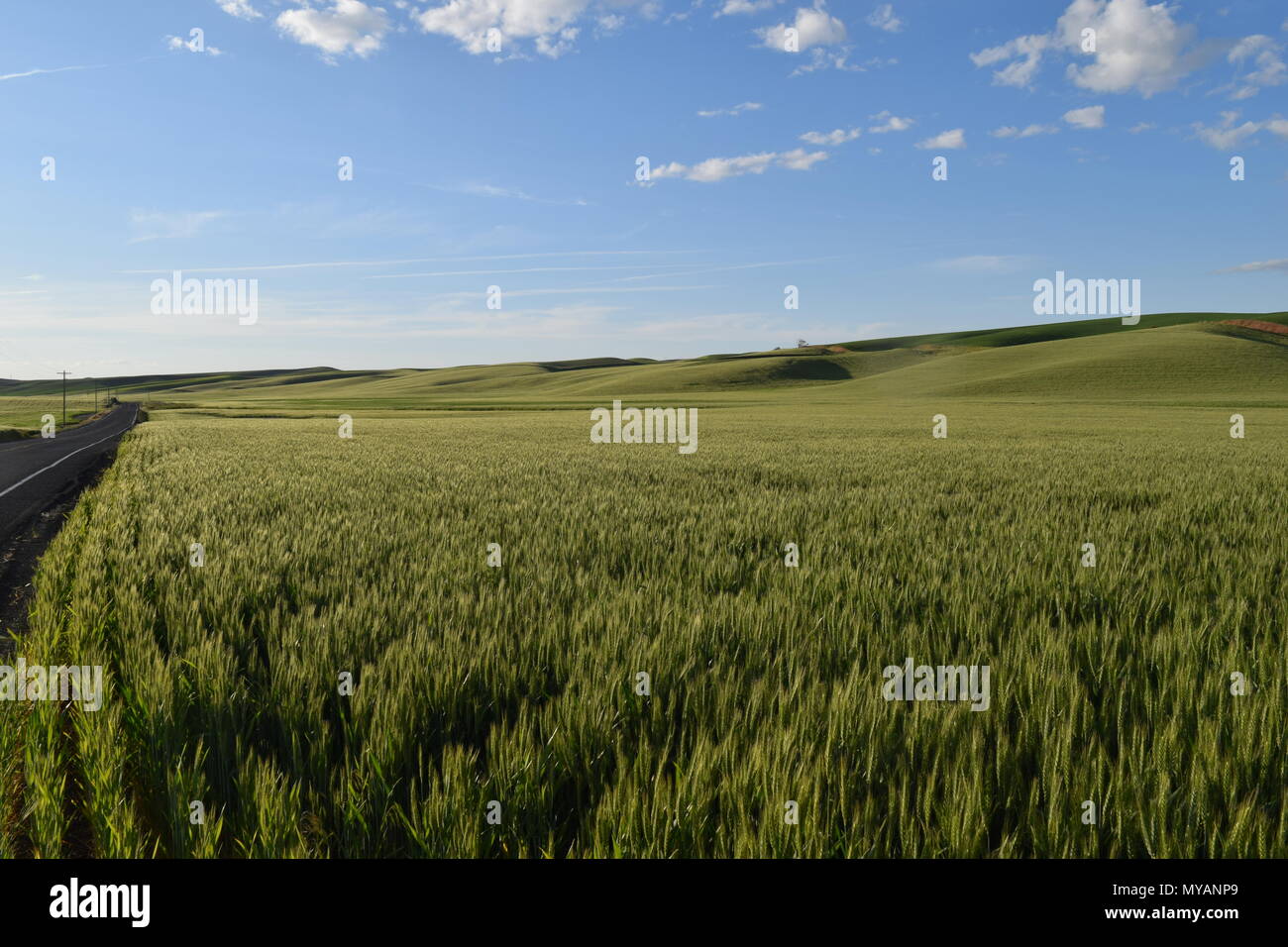 Spangle washington hi-res stock photography and images - Alamy