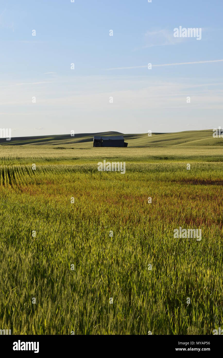 Spangle washington hi-res stock photography and images - Alamy