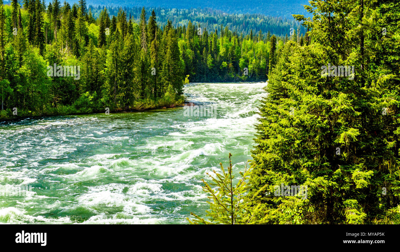View of the rapids in Bailey's Chute, a narrow section in the swollen ...