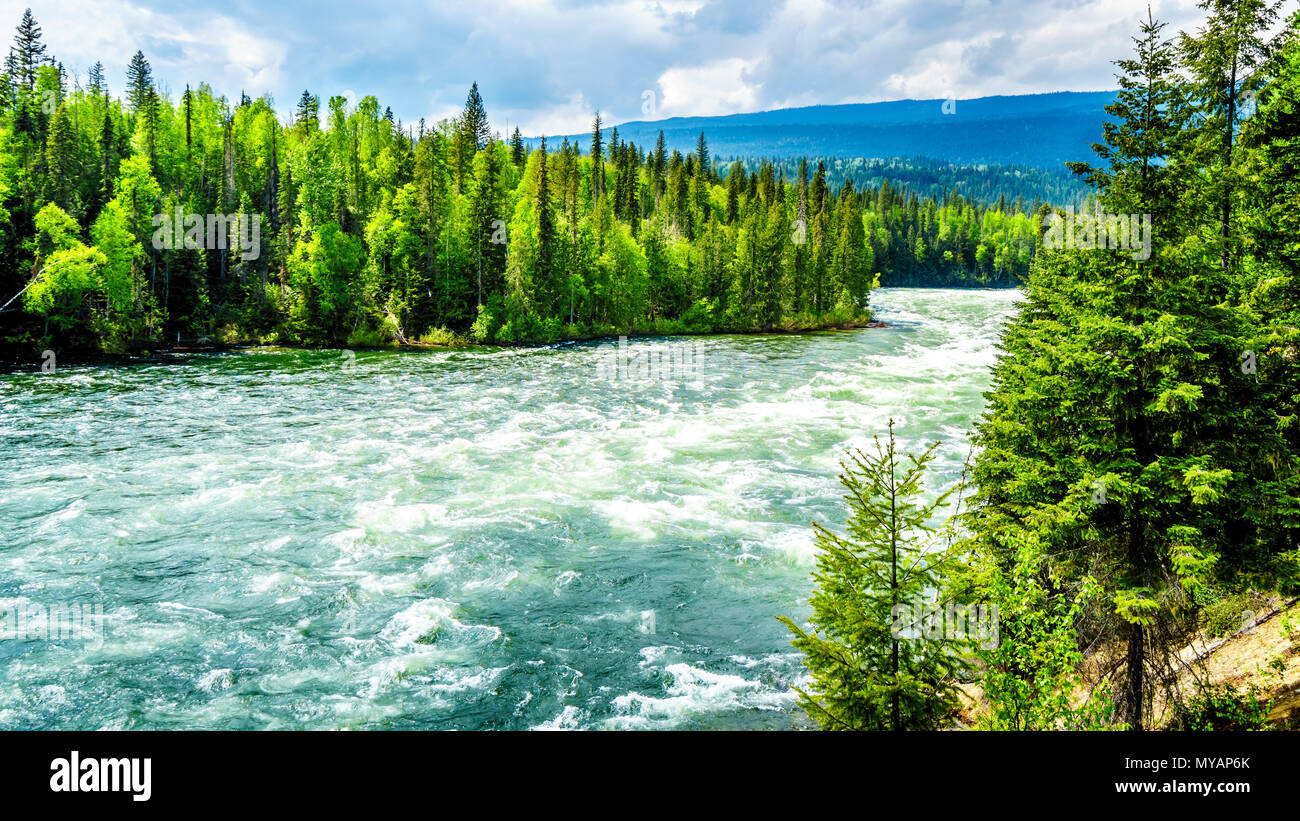 View of the rapids in Bailey's Chute, a narrow section in the swollen ...
