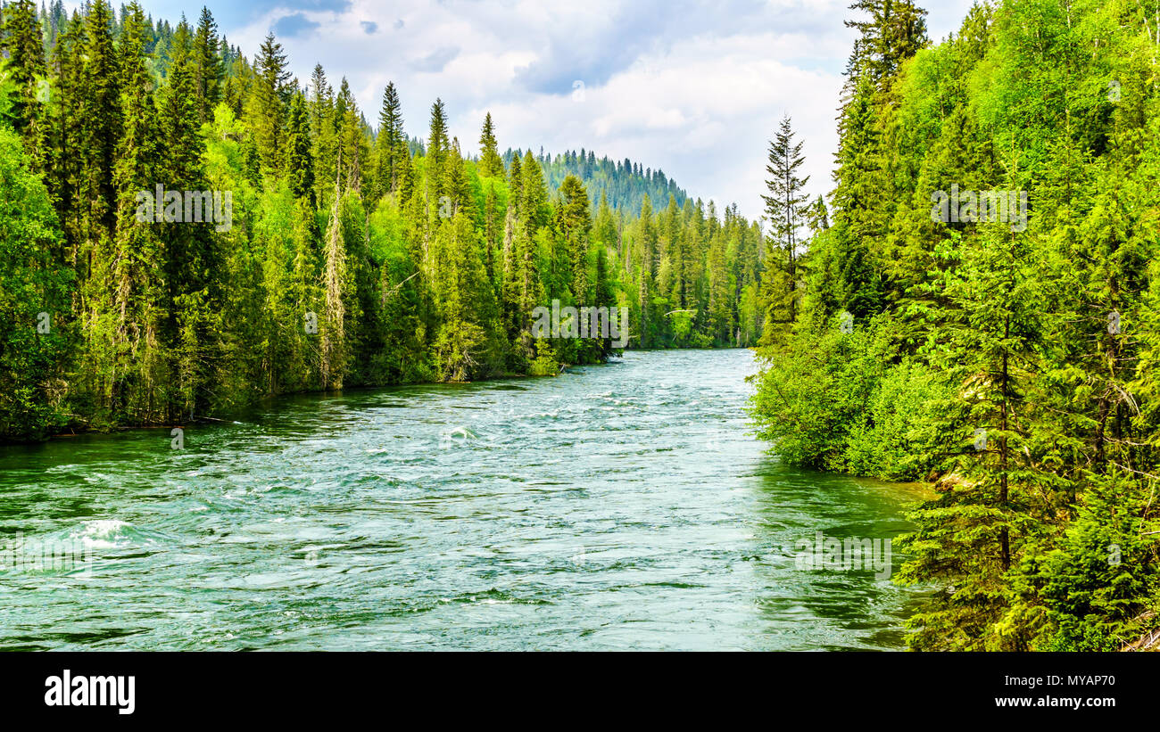 Clearwater river hi-res stock photography and images - Alamy