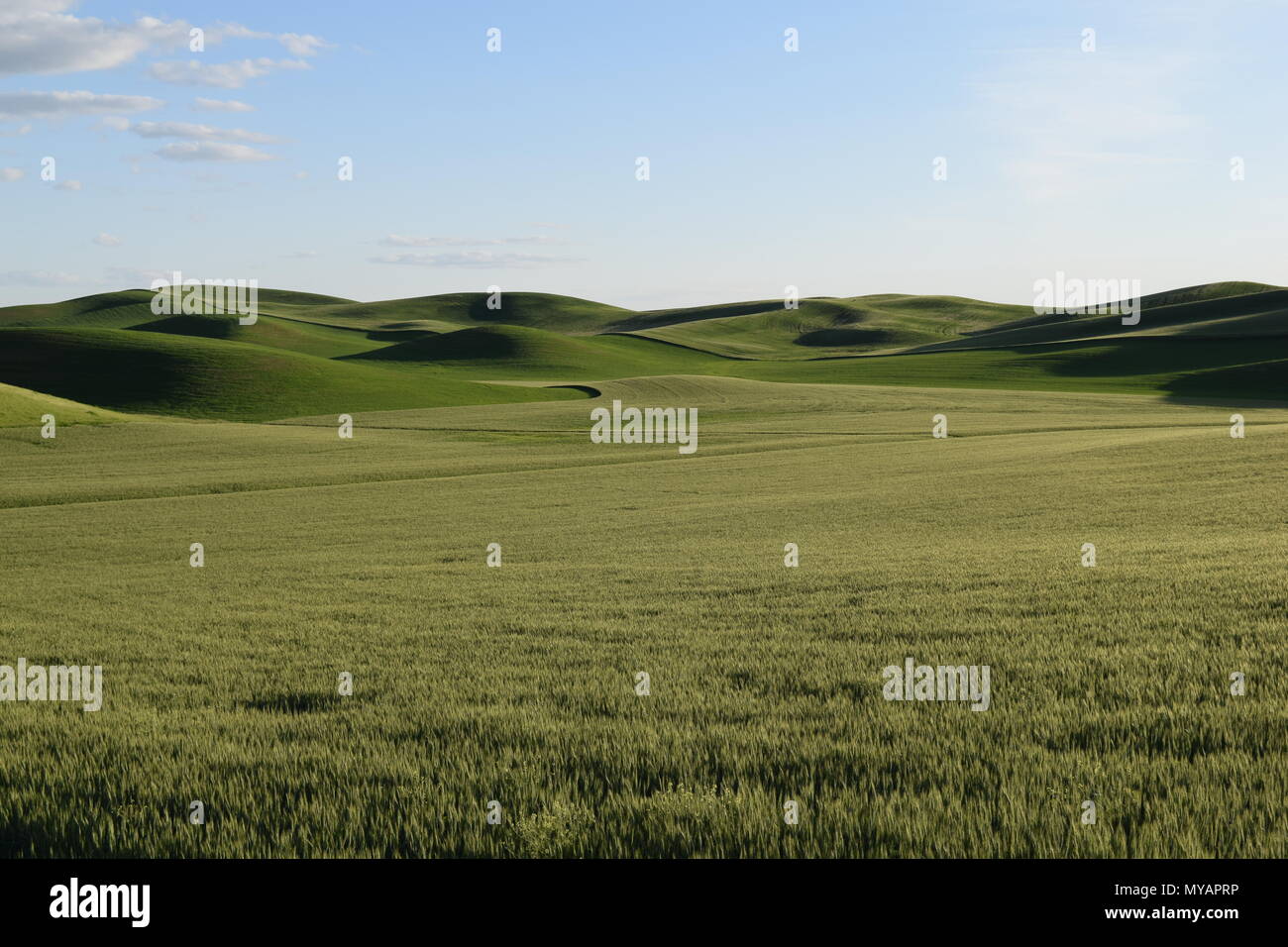 Spangle washington hi-res stock photography and images - Alamy