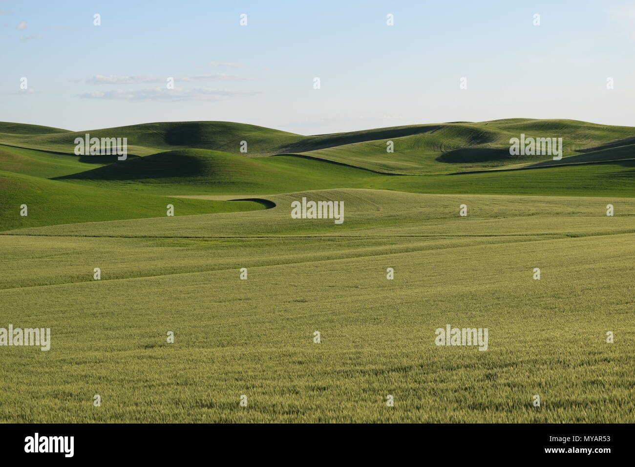 Spangle washington hi-res stock photography and images - Alamy