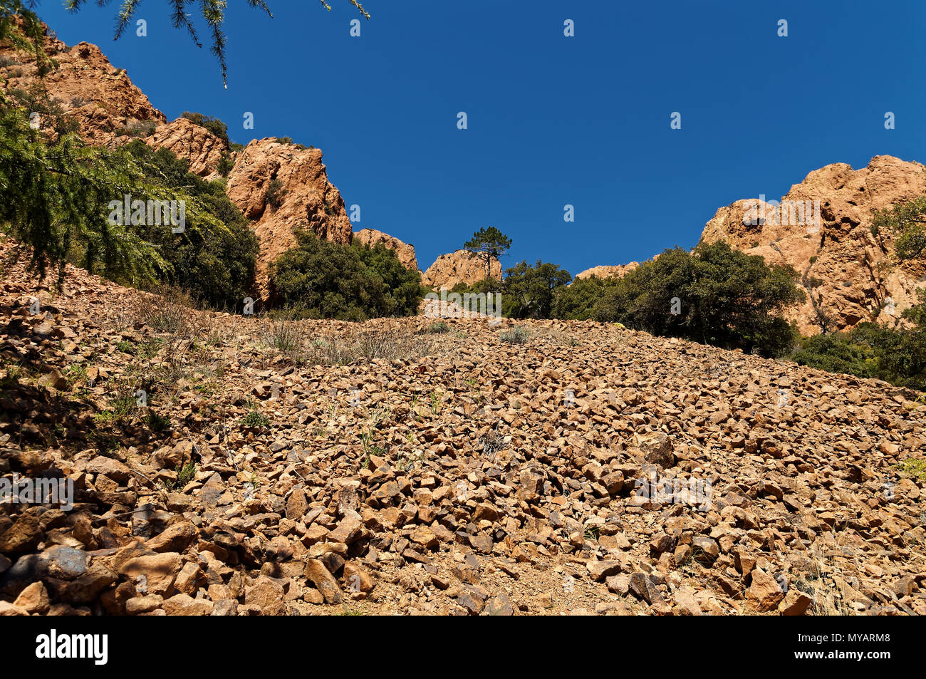 Rhyolite Rock Isolated On White Background Stock Photo