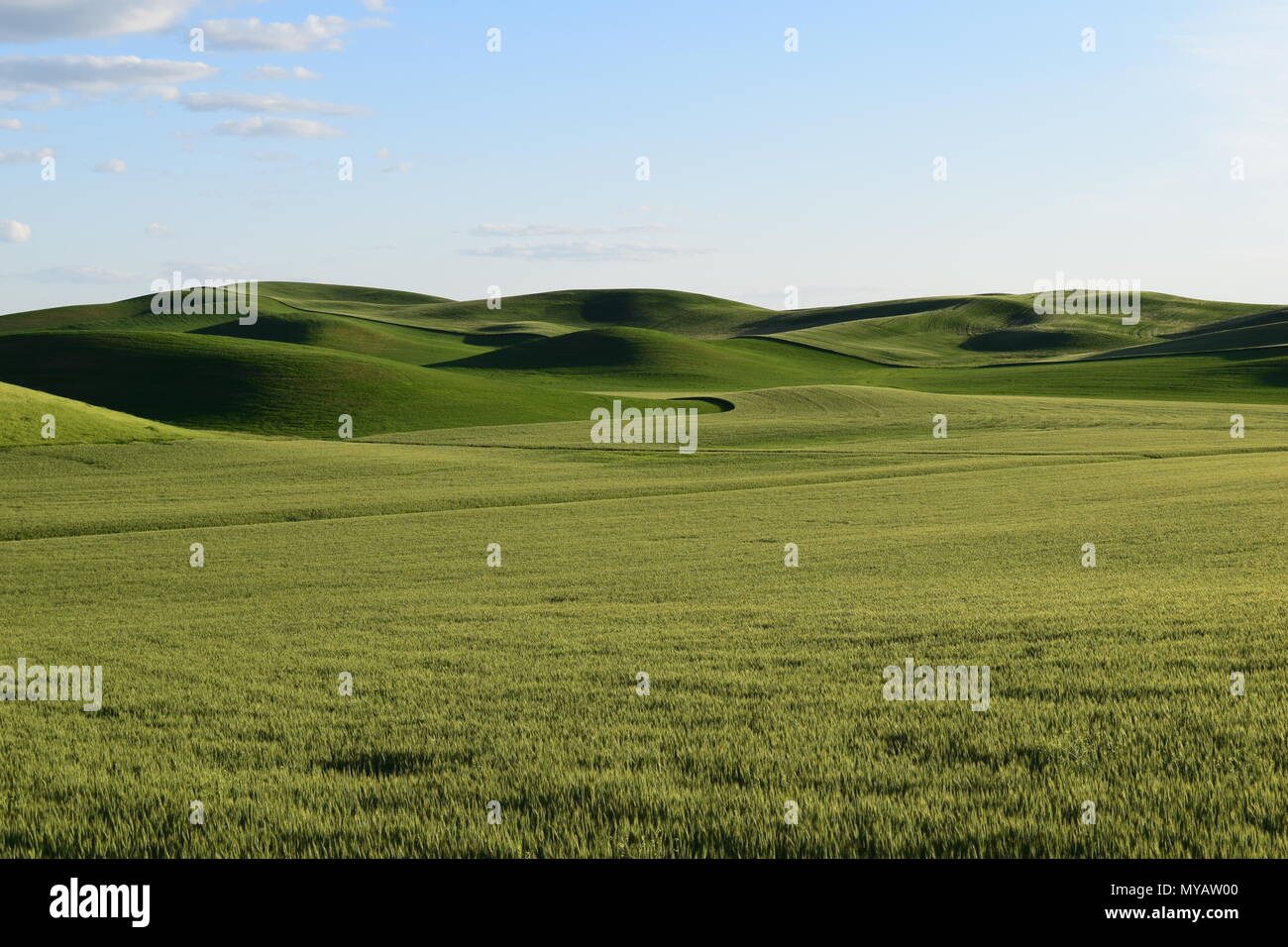 Spangle washington hi-res stock photography and images - Alamy