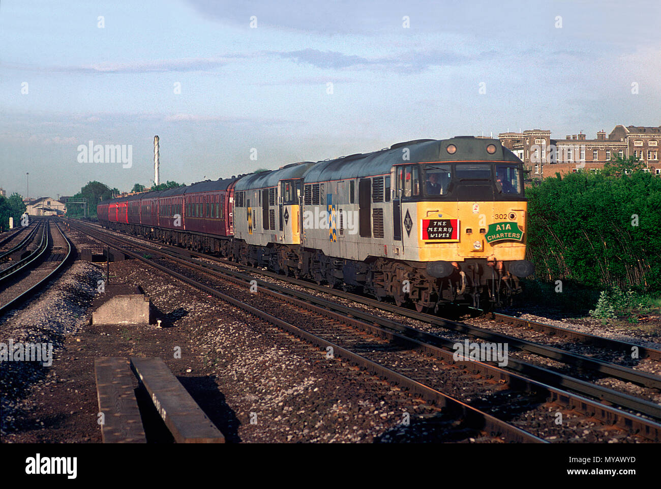 A pair of class 31 diesel locomotives numbers 31302 and 31304 working ...