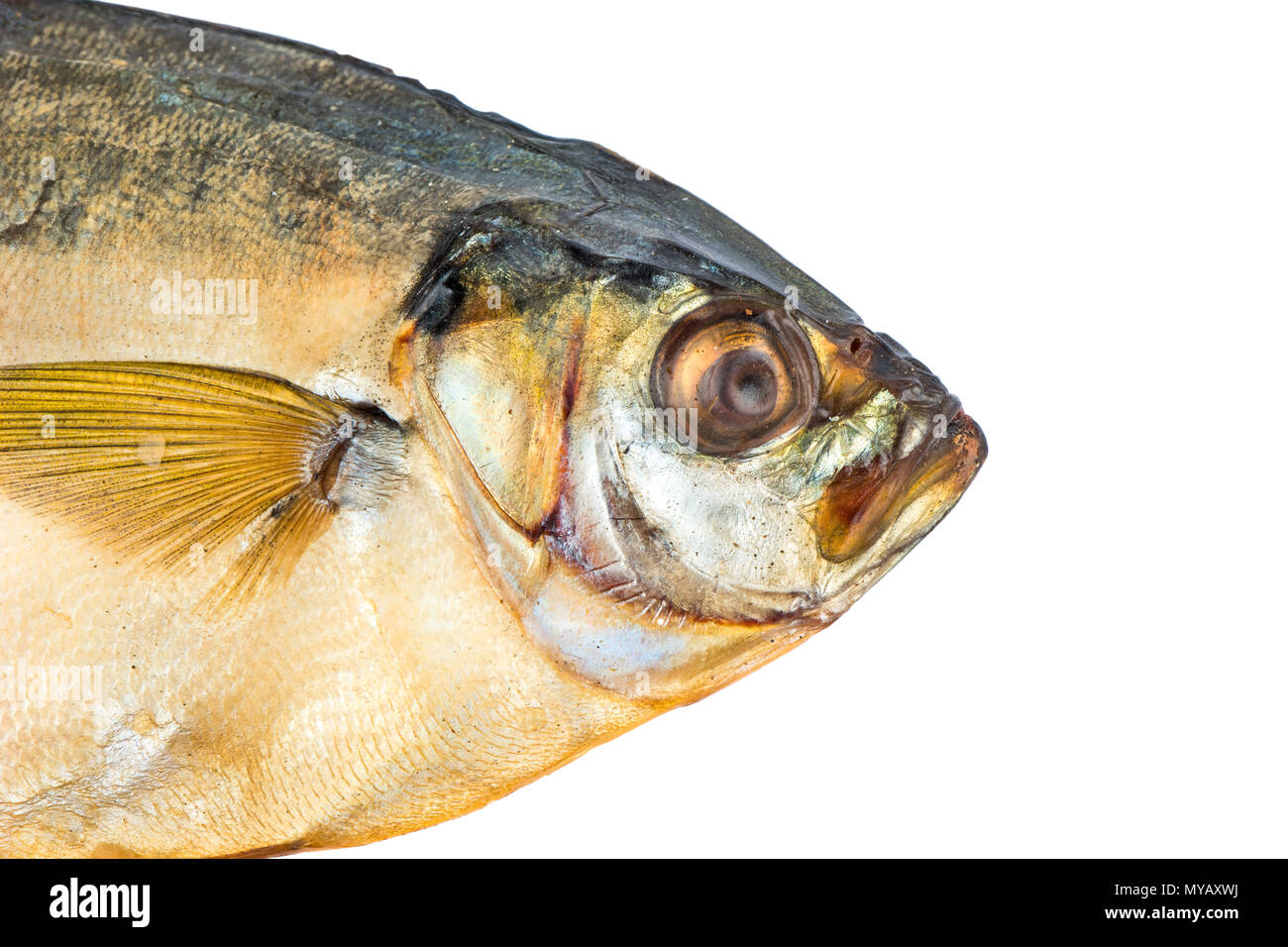 Head of smoked fish close-up on a white background Stock Photo - Alamy