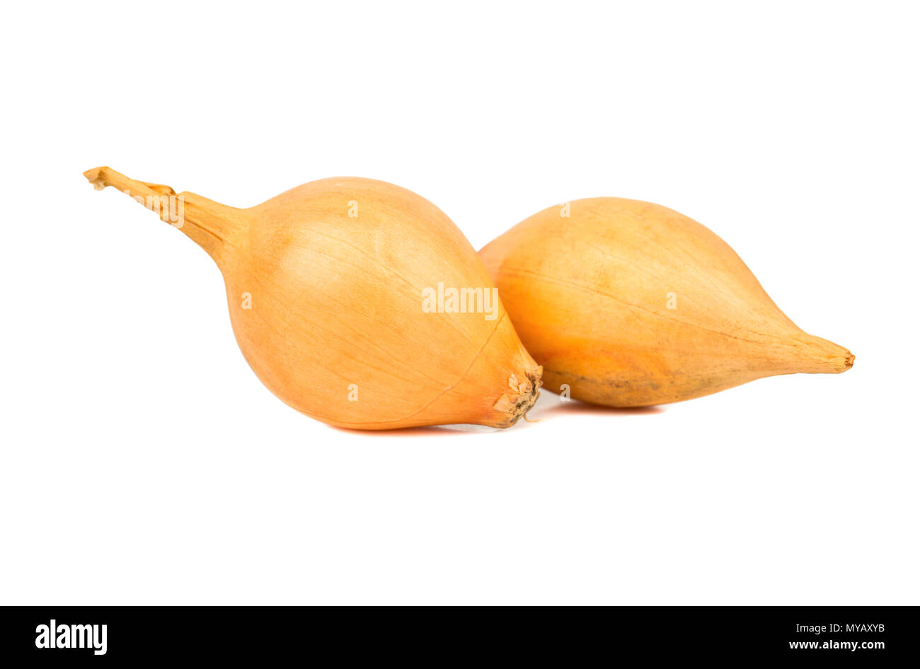 Small onion seeds isolated on white background Stock Photo - Alamy