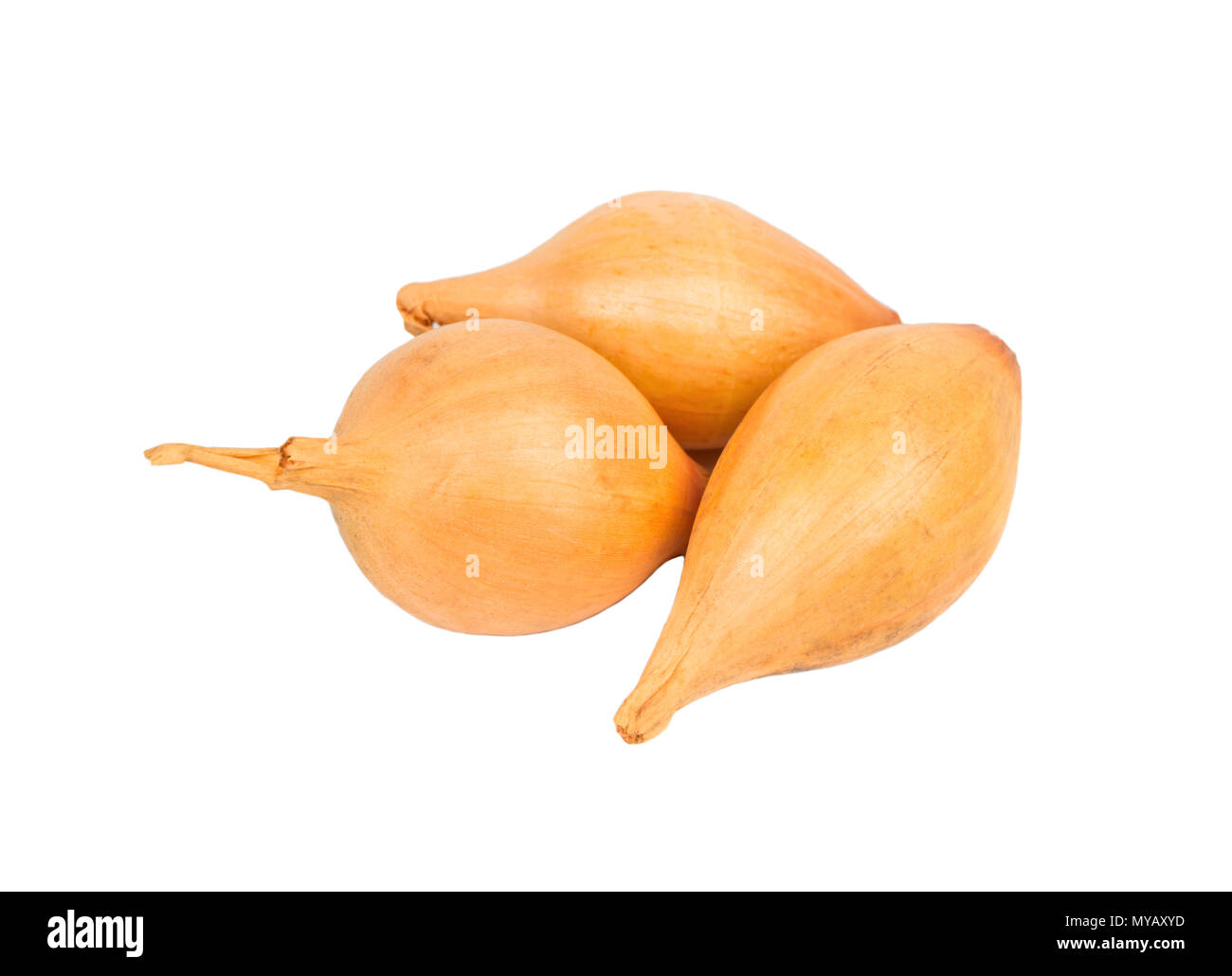 Small onion seeds isolated on white background Stock Photo - Alamy