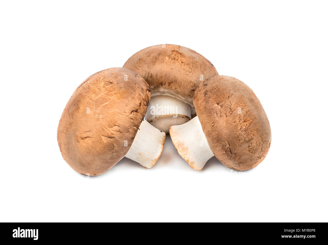 Three fresh champignon mushroom on a white background Stock Photo - Alamy