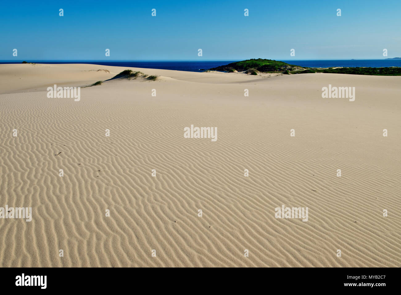 Myall lakes national park hi-res stock photography and images - Alamy
