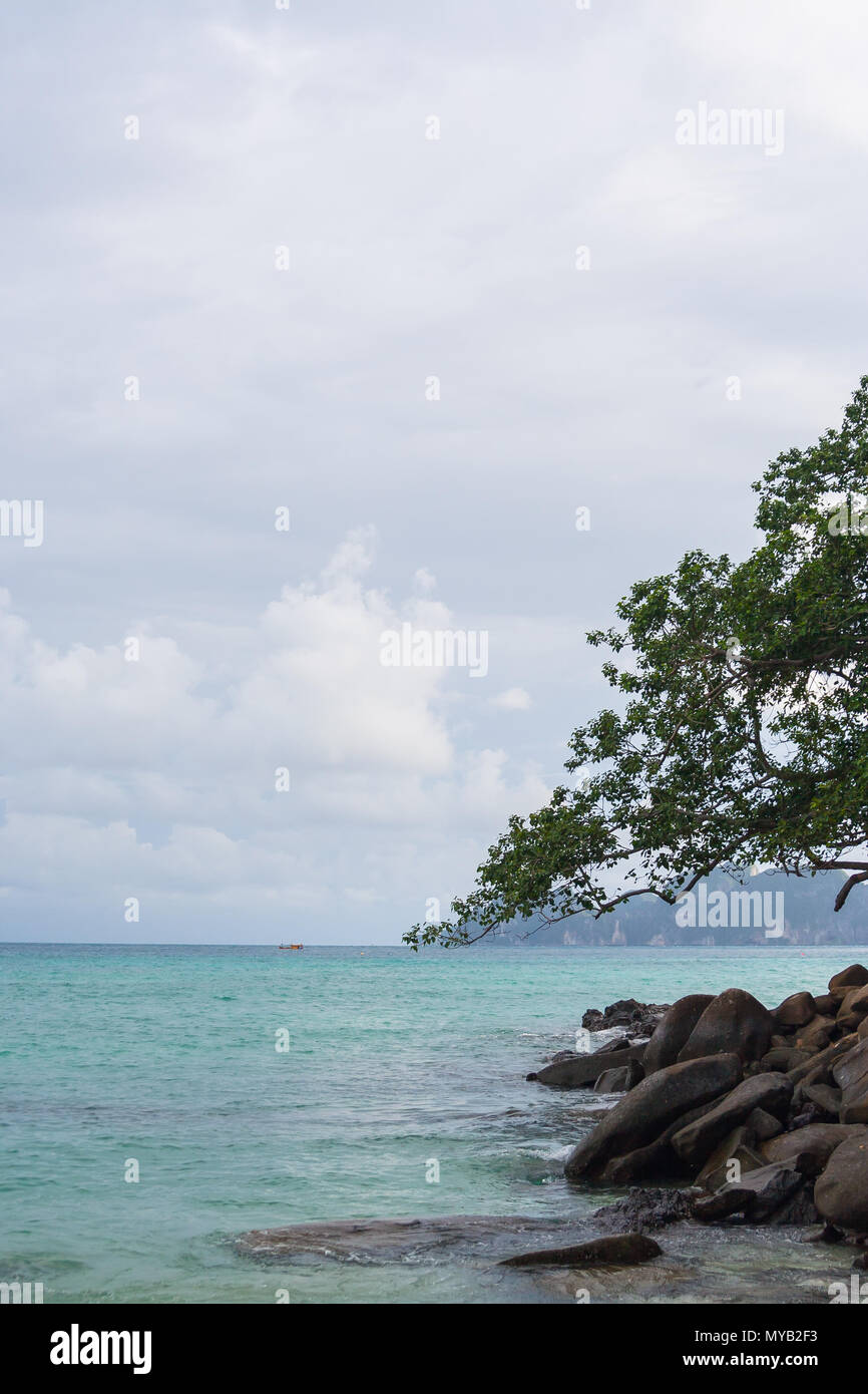 beautiful sea with the tree and rocks Stock Photo - Alamy