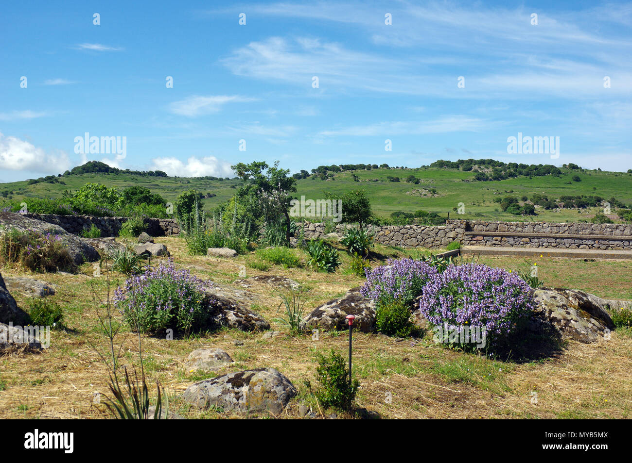 Macomer, Sardinia, Italy. Tamuli archeological area Stock Photo - Alamy