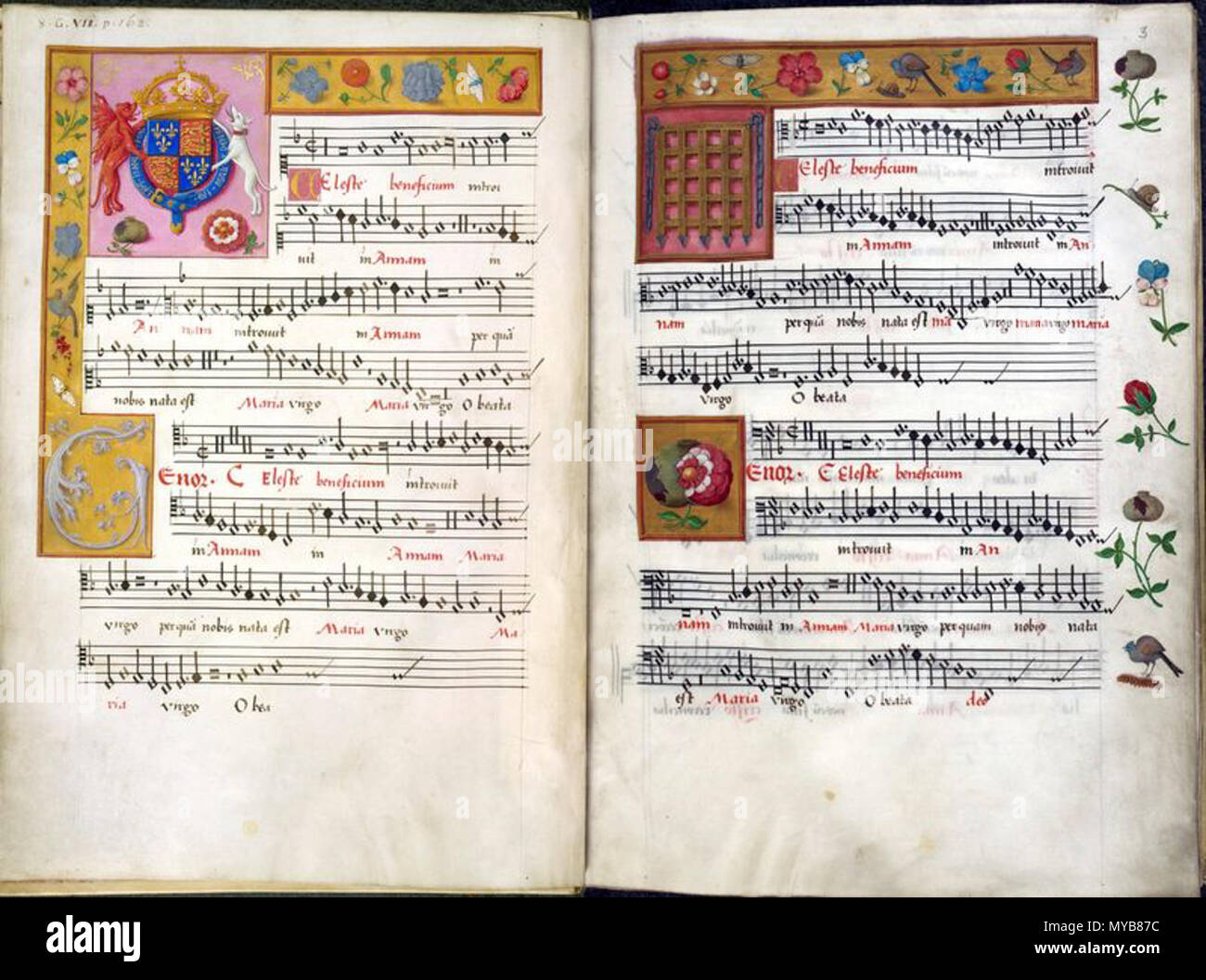 . English: Motet 'Celeste beneficium' by Jean Mouton, Royal 8 G.vii, ff ...