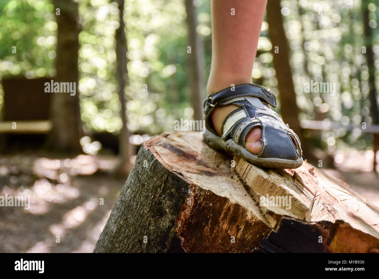 Kid foot stepped on a wooden stump, keeping balance Stock Photo - Alamy