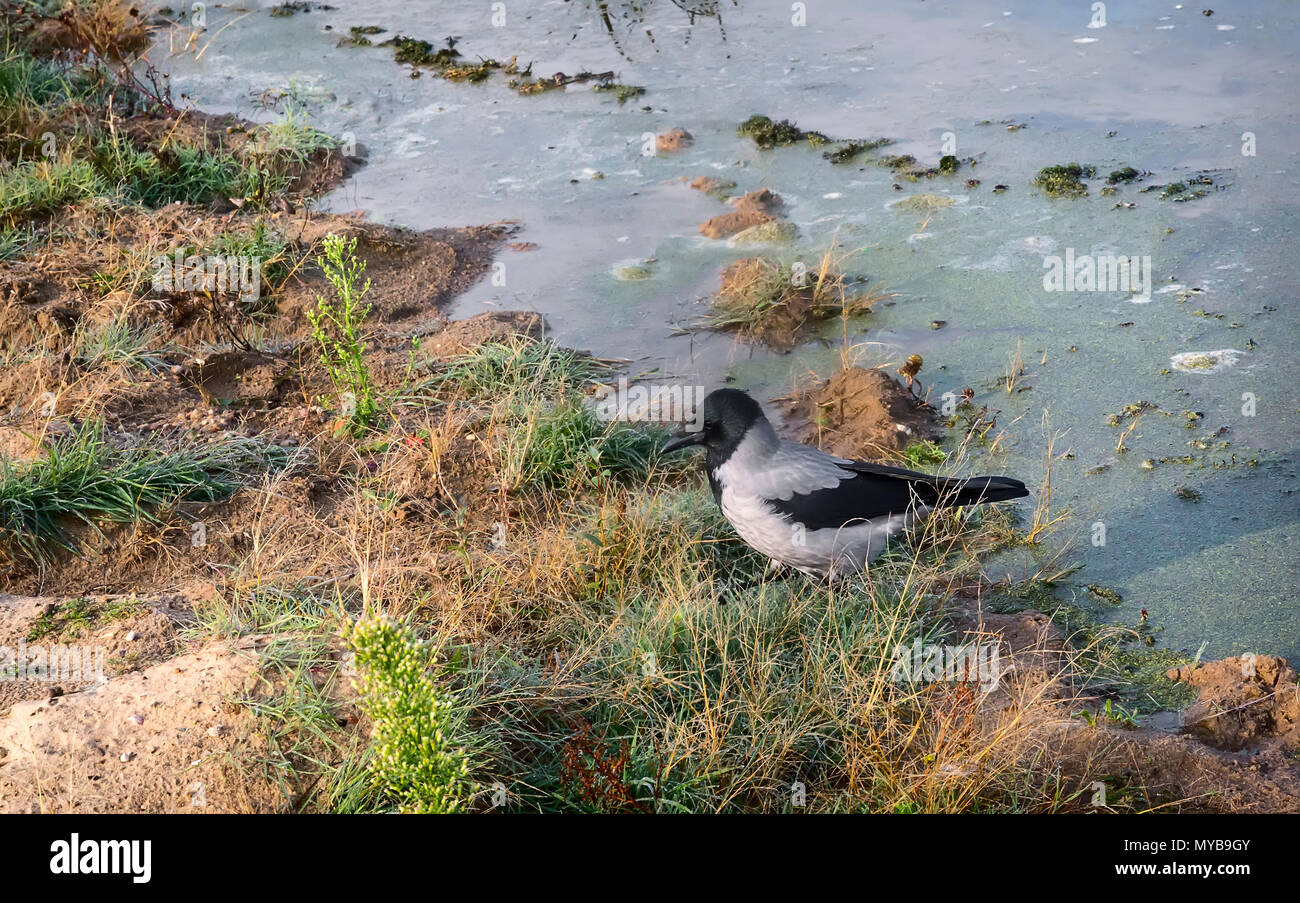 No one sitting river bank hi-res stock photography and images - Alamy
