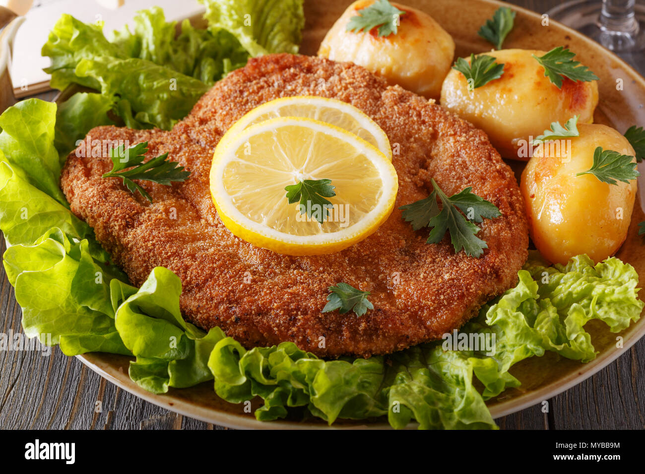 Wienerschnitzel vienna hi-res stock photography and images - Alamy