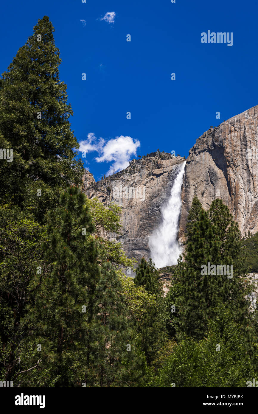 Yosemite Fall, Yosemite National Park, California USA Stock Photo - Alamy
