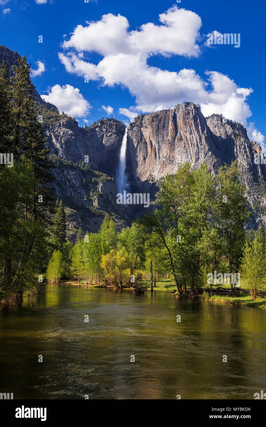 Yosemite Falls above the Merced River, Yosemite National Park ...