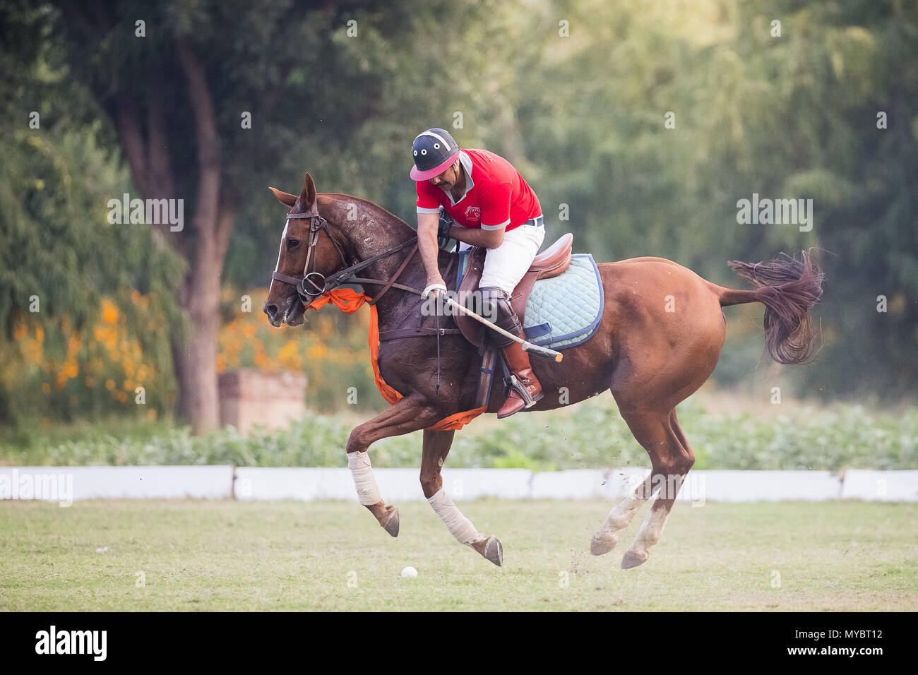 Player polo pony rider hi-res stock photography and images - Alamy