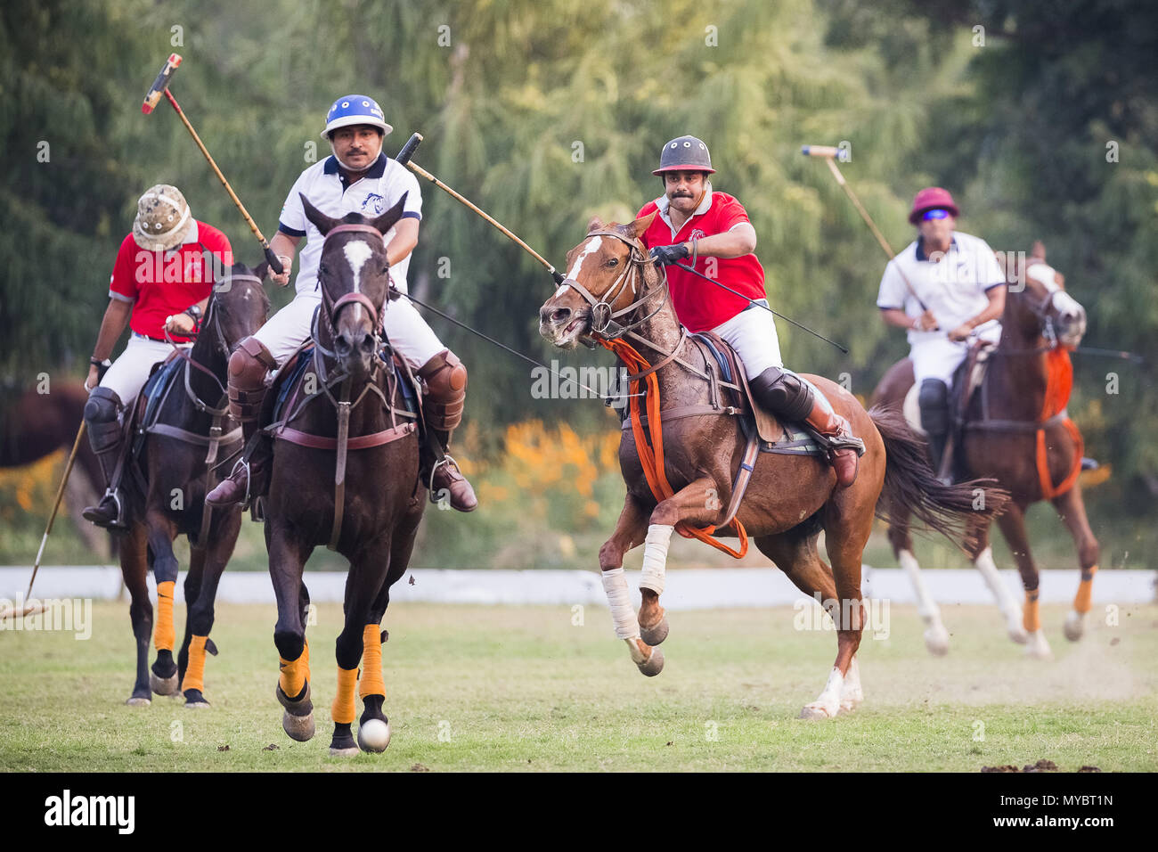 Polo Pony. Players in a polo match. Jaipur, India Stock Photo - Alamy