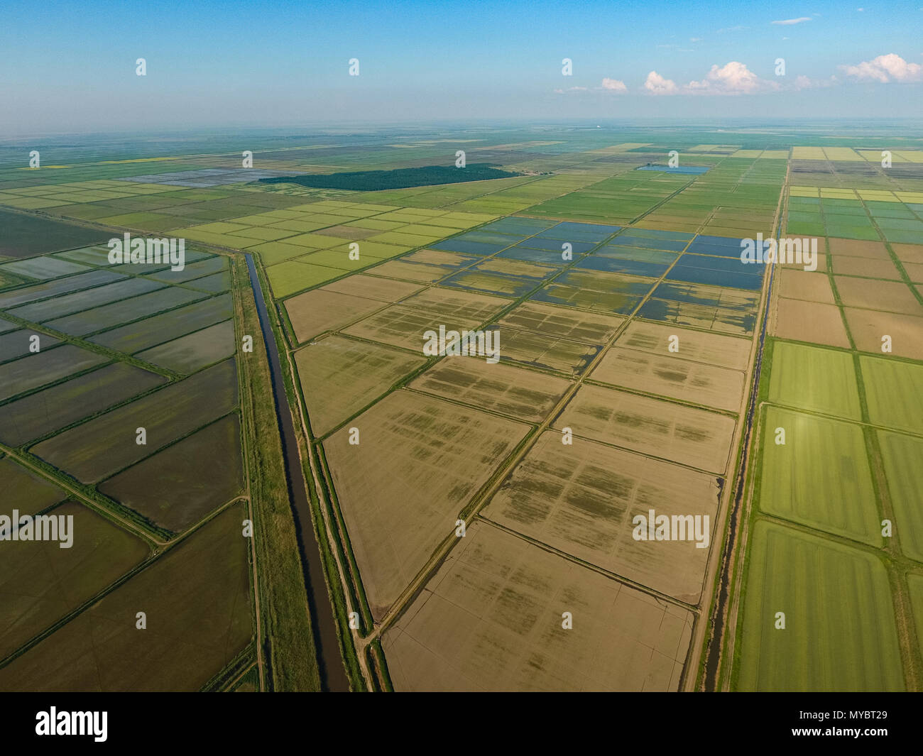 The rice fields are flooded with water. Flooded rice paddies. Agronomic ...
