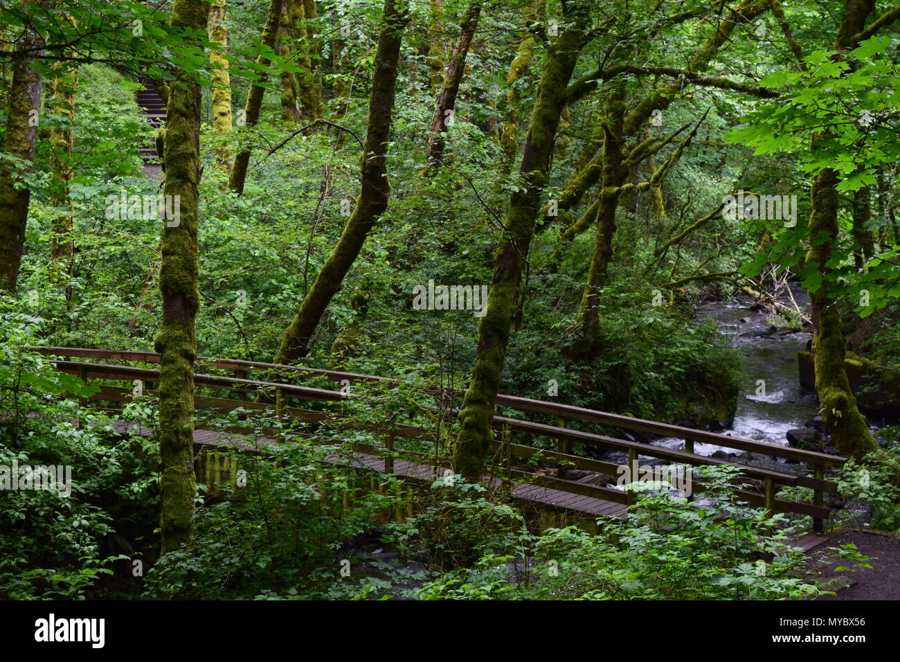 Wooden Oregon bridge Stock Photo - Alamy