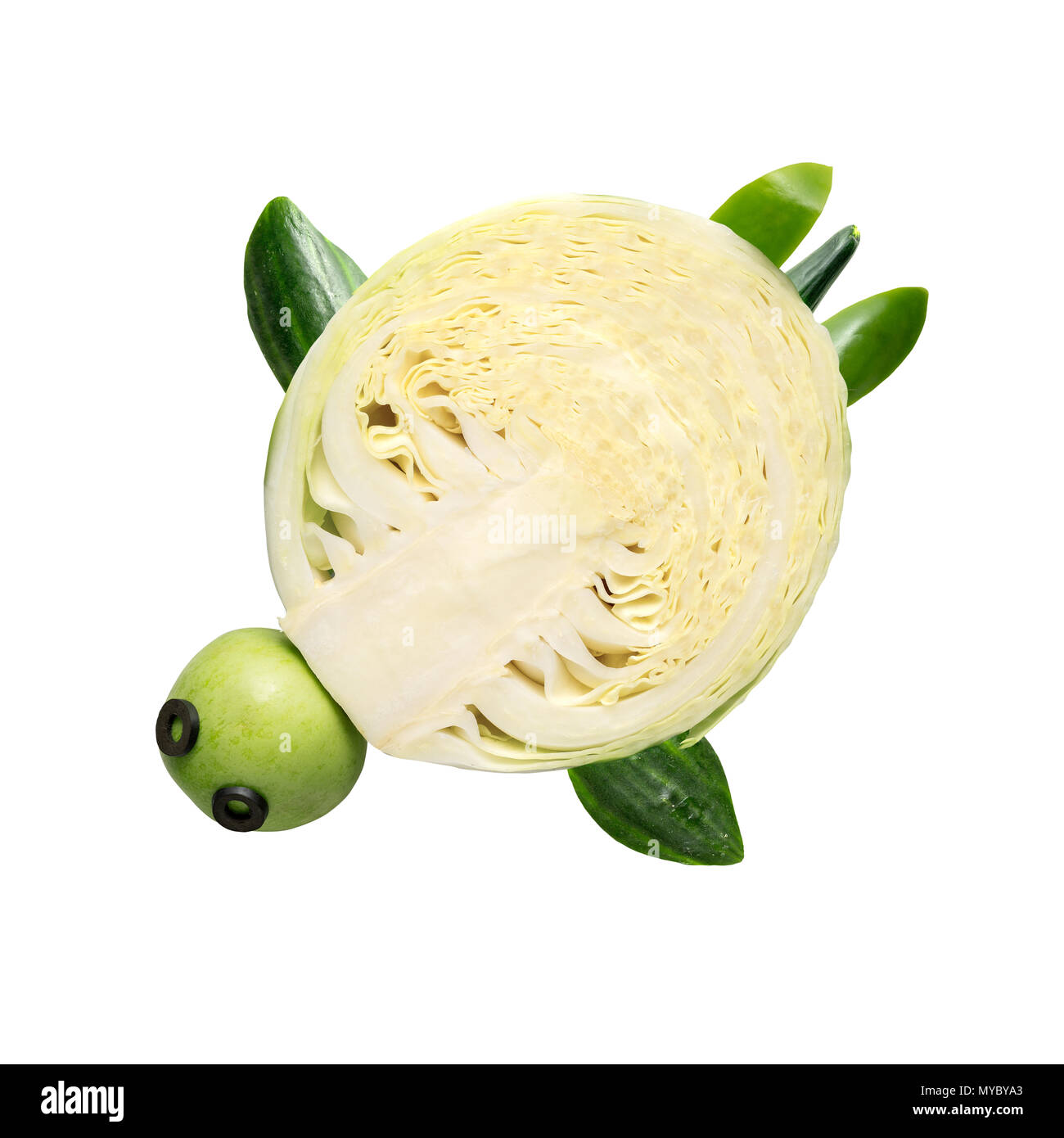 Creative concept photo of turtle made of fruits and vegetables on white ...