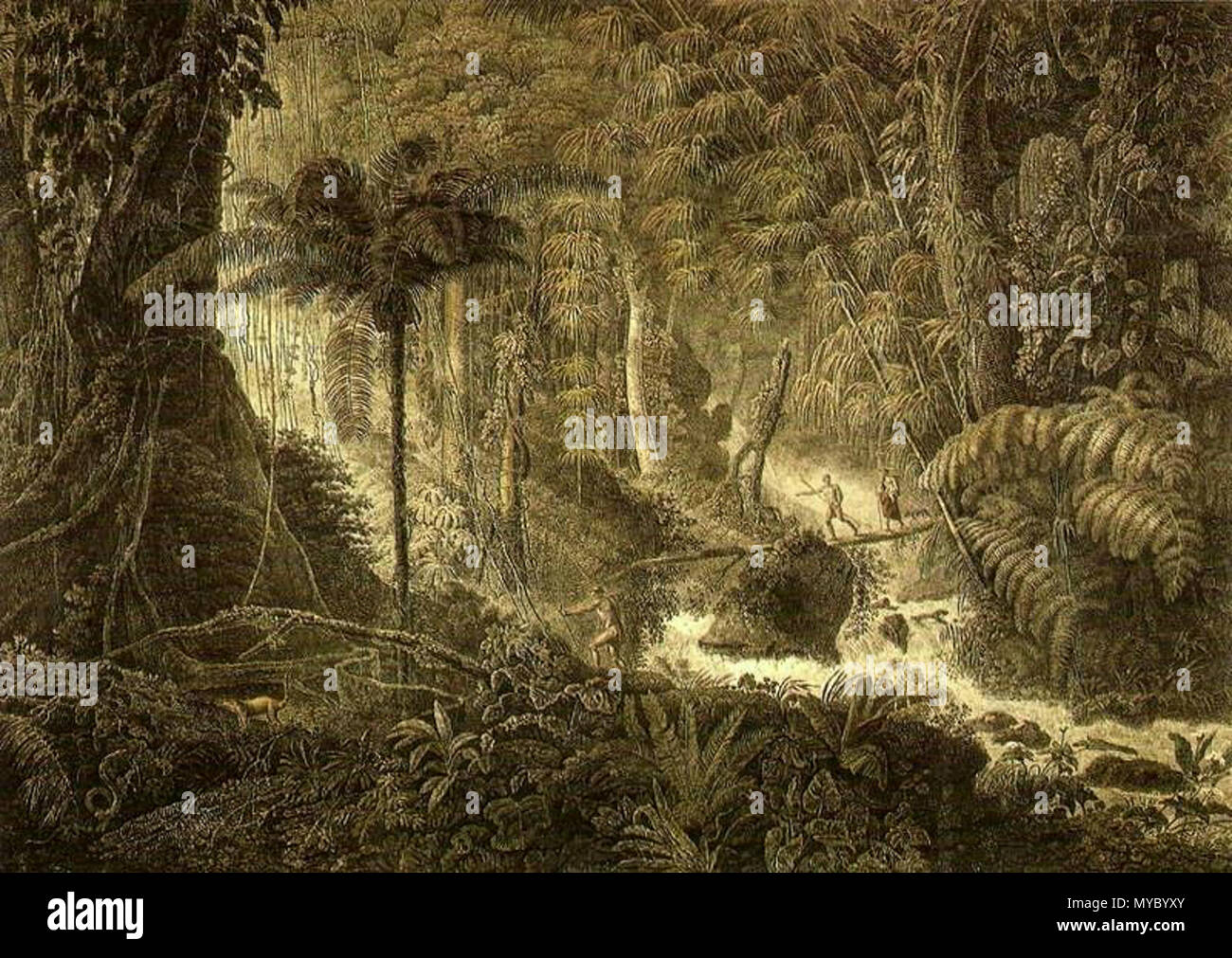 Claude francois fortier hi-res stock photography and images - Alamy